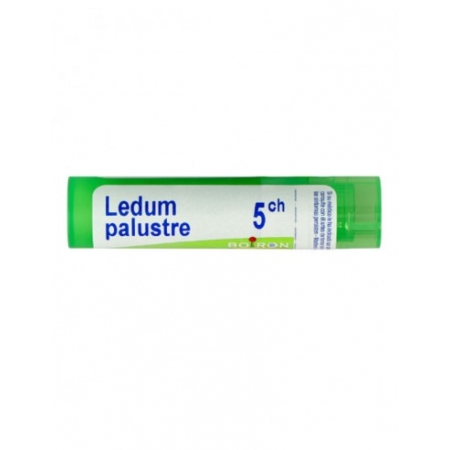 LEDUM PALUSTRE 5 CH GRANULOS