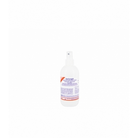 CLORXIL 20 MG/ML SOLUCION PARA PULVERIZACION CUTANEA 1 FRASCO 100 ML